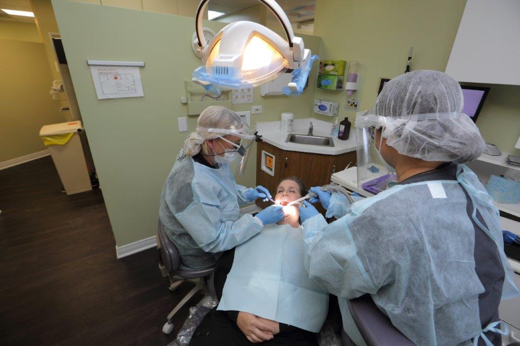 Gallery – Dr. Susan Sheets